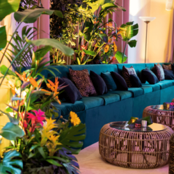 Evolve Events - Events matter because connection matters.